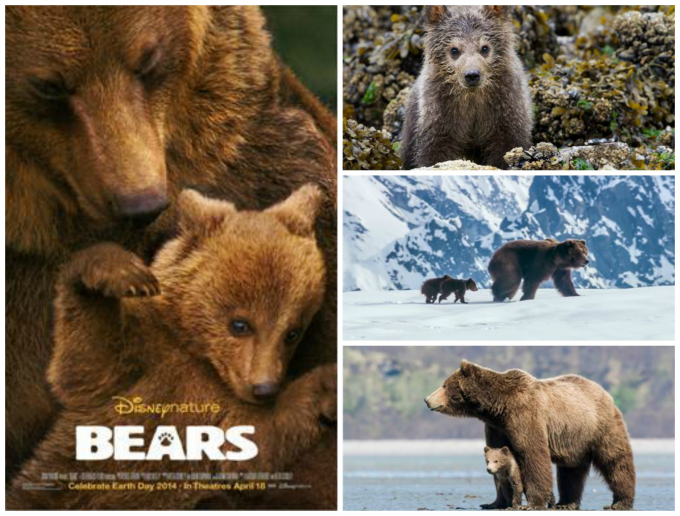 Disneynature Film: Bears | Springfield Museums
