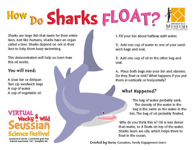 Massachusetts STEM Week 2020 | Springfield Museums