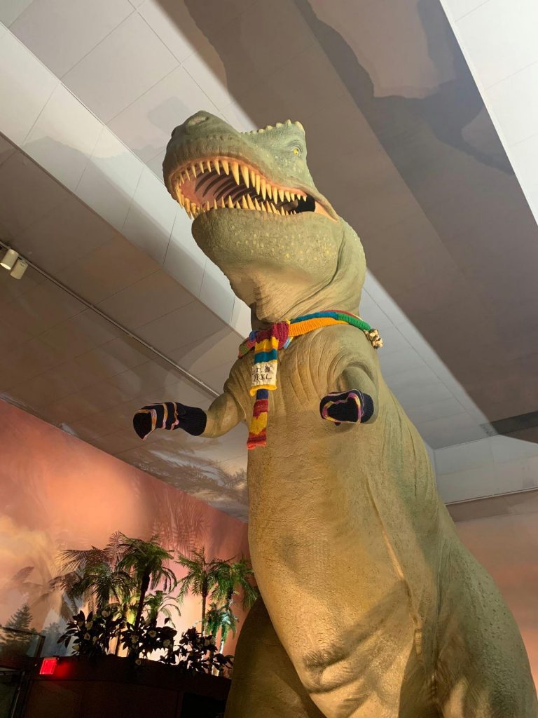 Winter 2021 Treasures at the Springfield Museums | Springfield Museums