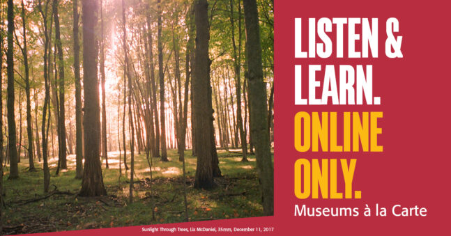 Upcoming Programs Springfield Museums